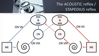 Anatomy of middle ear | PPTX