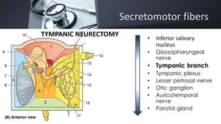 Anatomy of middle ear | PPTX