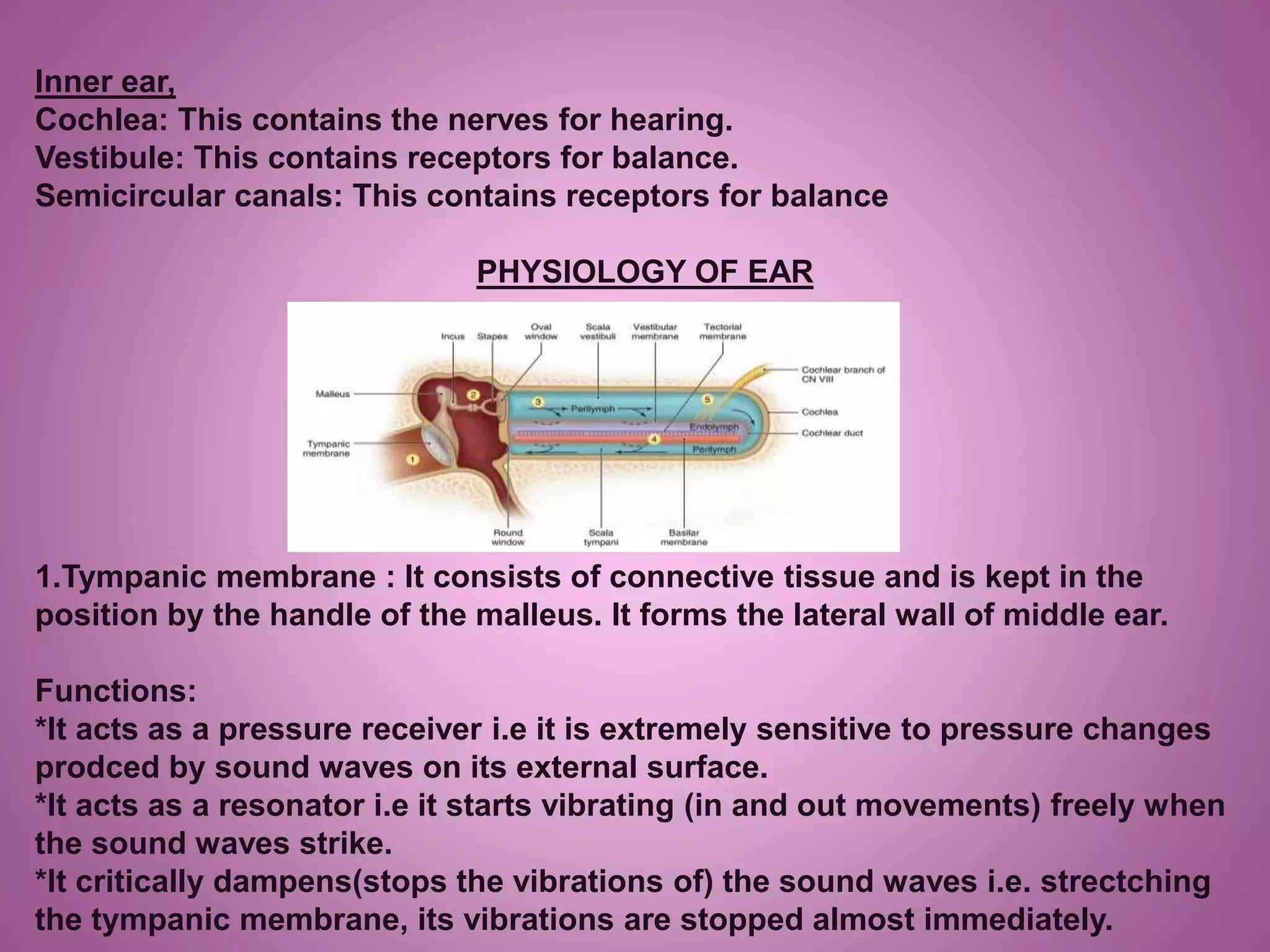Anatomy and physiology of ENT | PPTX