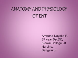 Anatomy and physiology of ENT | PPTX