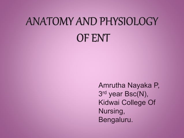 Anatomy and physiology of ENT | PPTX | Ear, Nose and Throat Conditions ...
