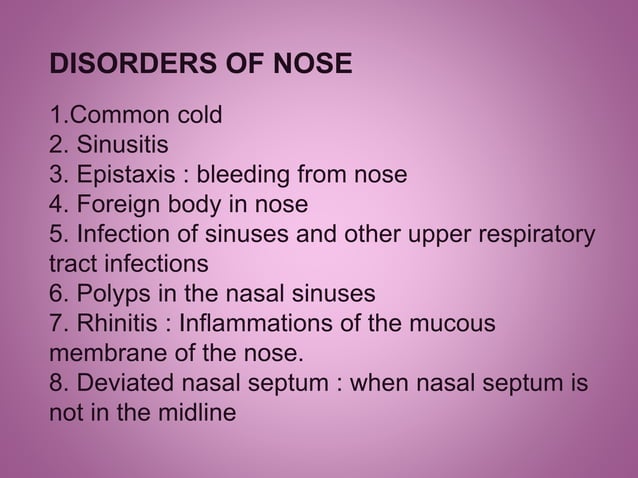 Anatomy and physiology of ENT | PPTX | Ear, Nose and Throat Conditions ...