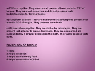 Anatomy and physiology of ENT | PPTX