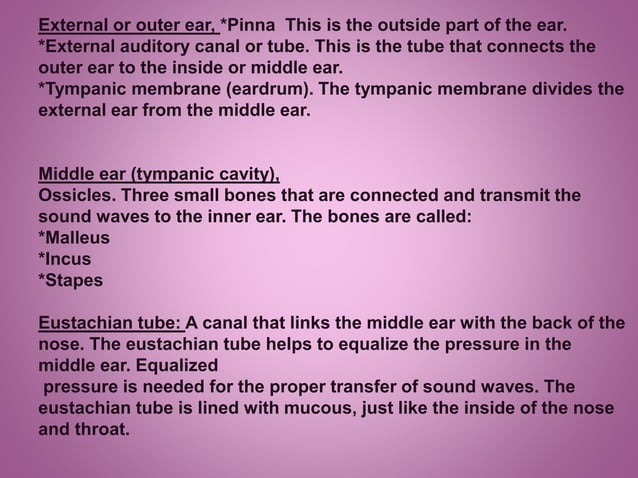 Anatomy and physiology of ENT | PPTX | Ear, Nose and Throat Conditions ...