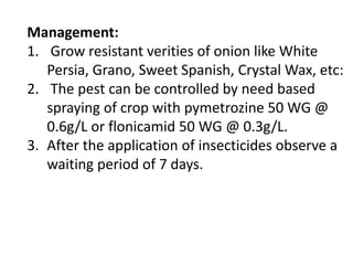 ENT-313(HO), Onion and Garlic.pptx