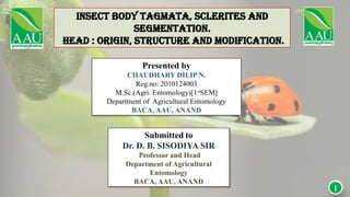 ENT-501 INSECT HEAD powerpoint presentation.pptx