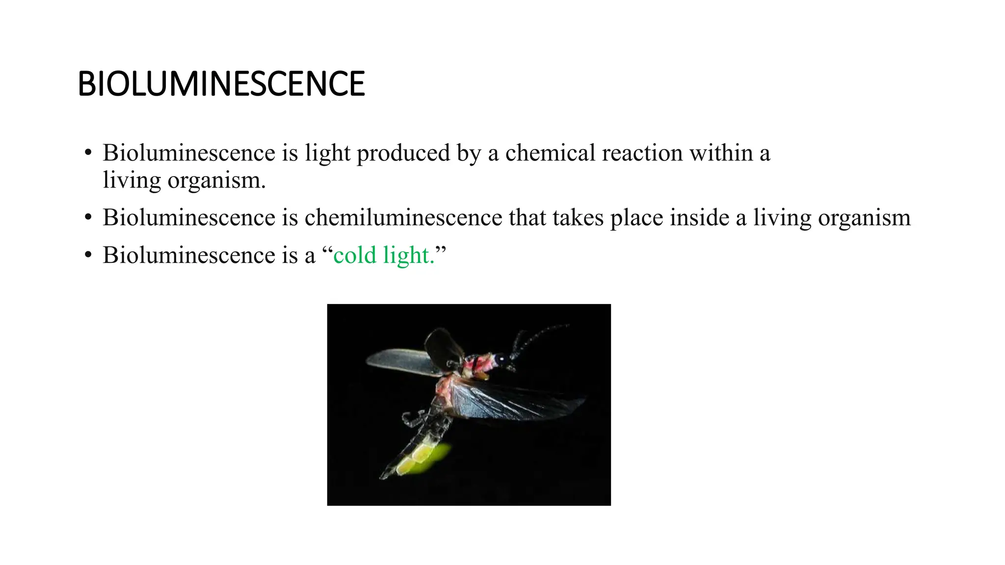 Physiology of bioluminescense in insects | PPT