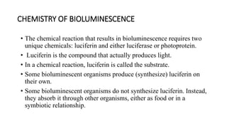 Physiology of bioluminescense in insects | PPTX