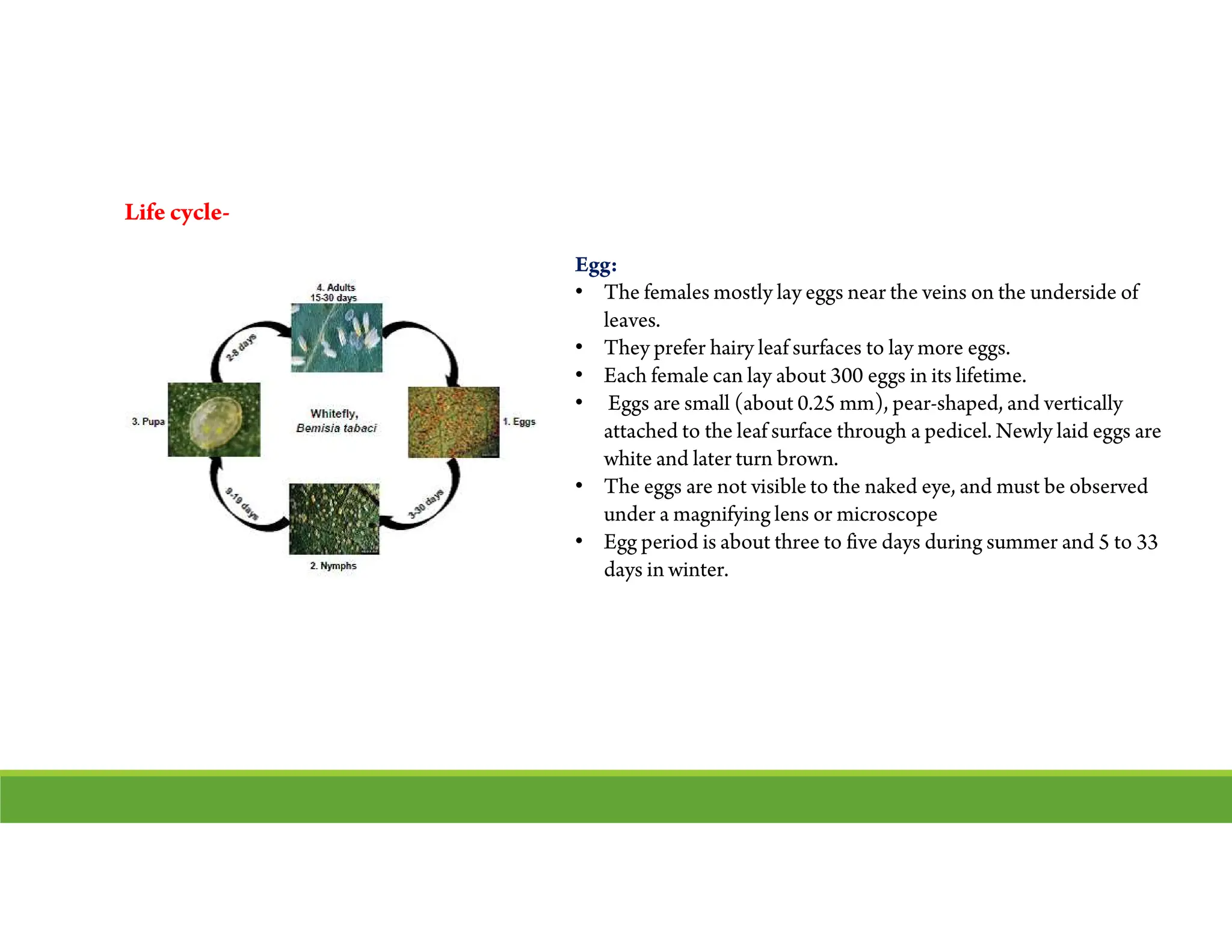 Pest of Coriander Pest of Horticulture & Plantation crops ENT-512 HP.pdf