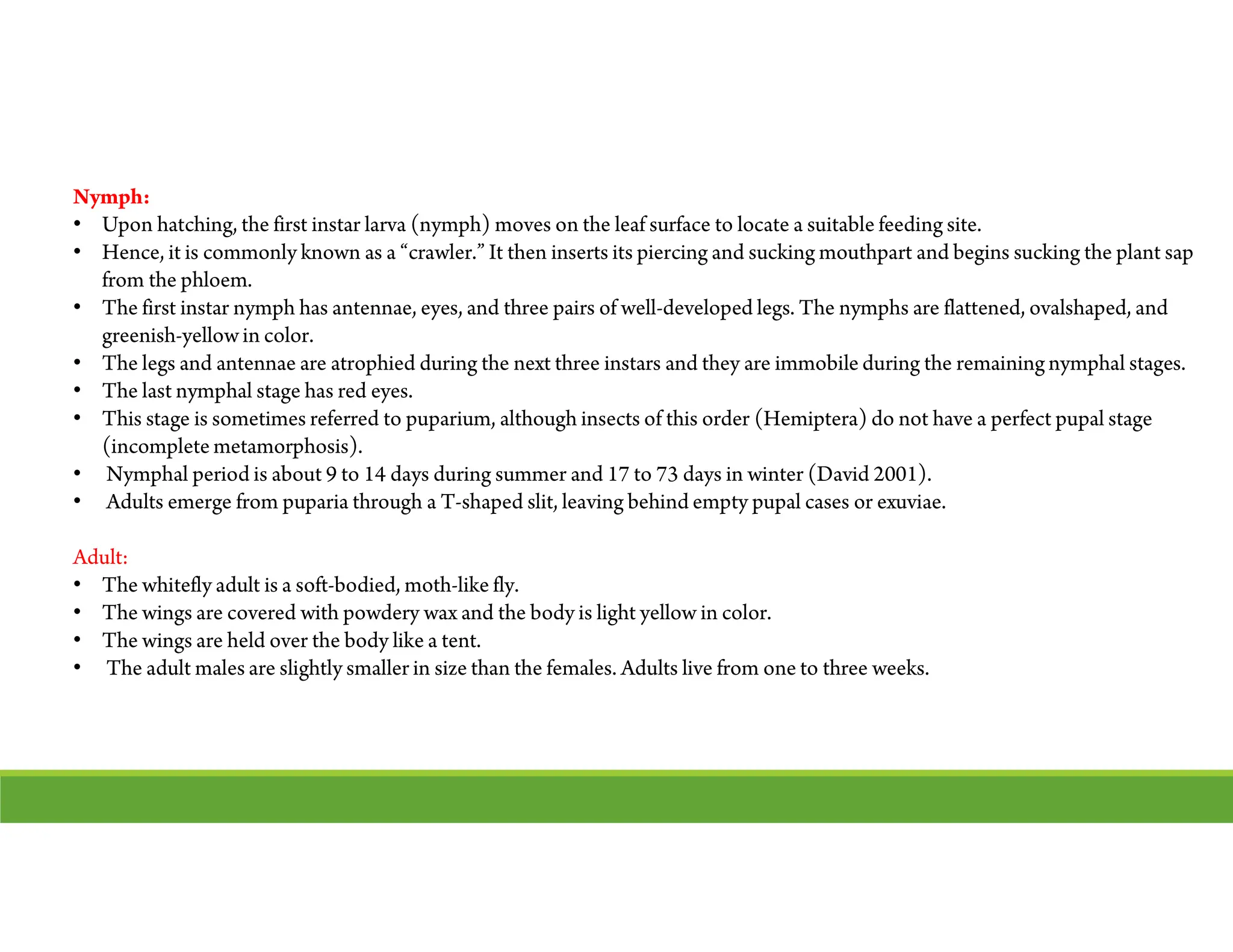 Pest of Coriander Pest of Horticulture & Plantation crops ENT-512 HP.pdf