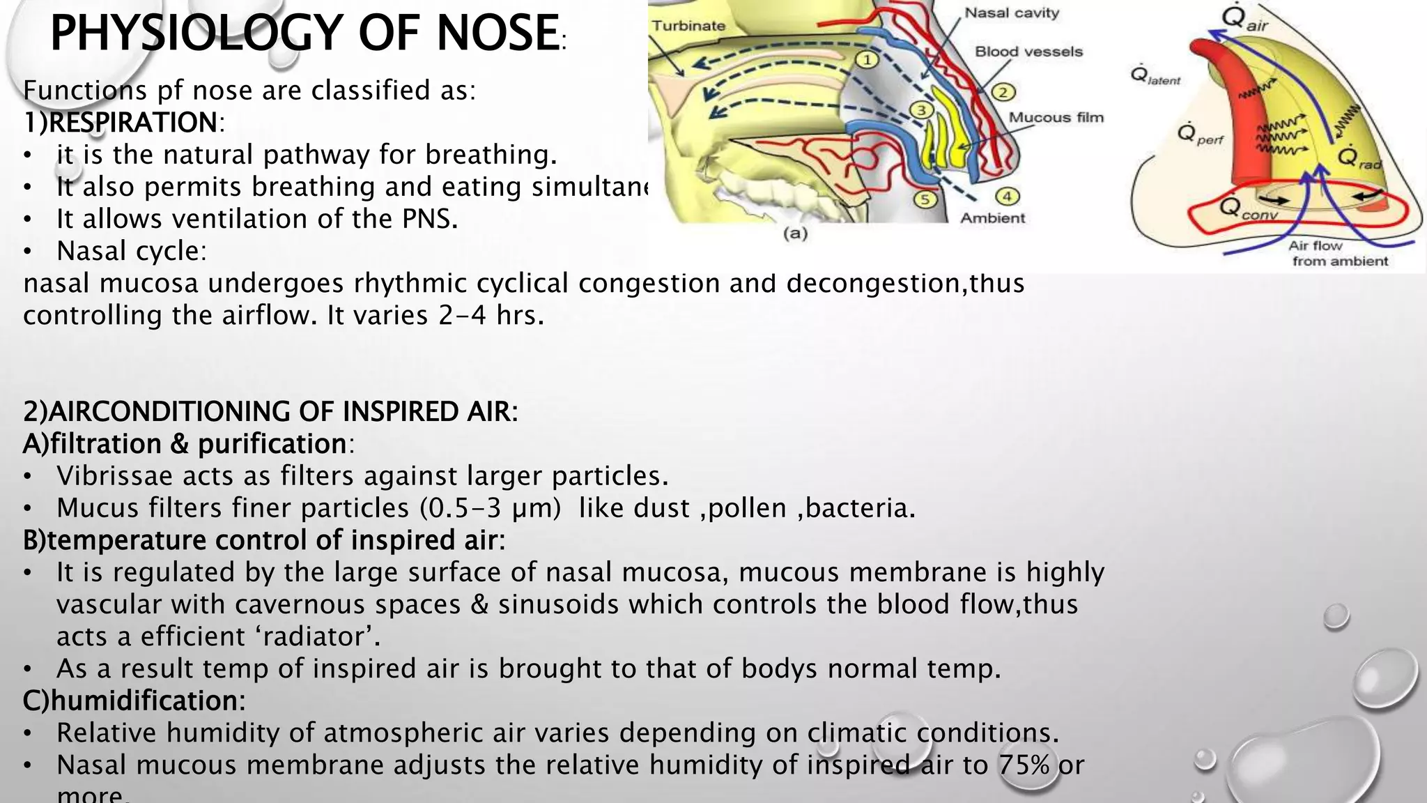 ANATOMY AND PHYSIOLOGY OF EAR, NOSE, THROAT and NEWER INVESTIGATION ...