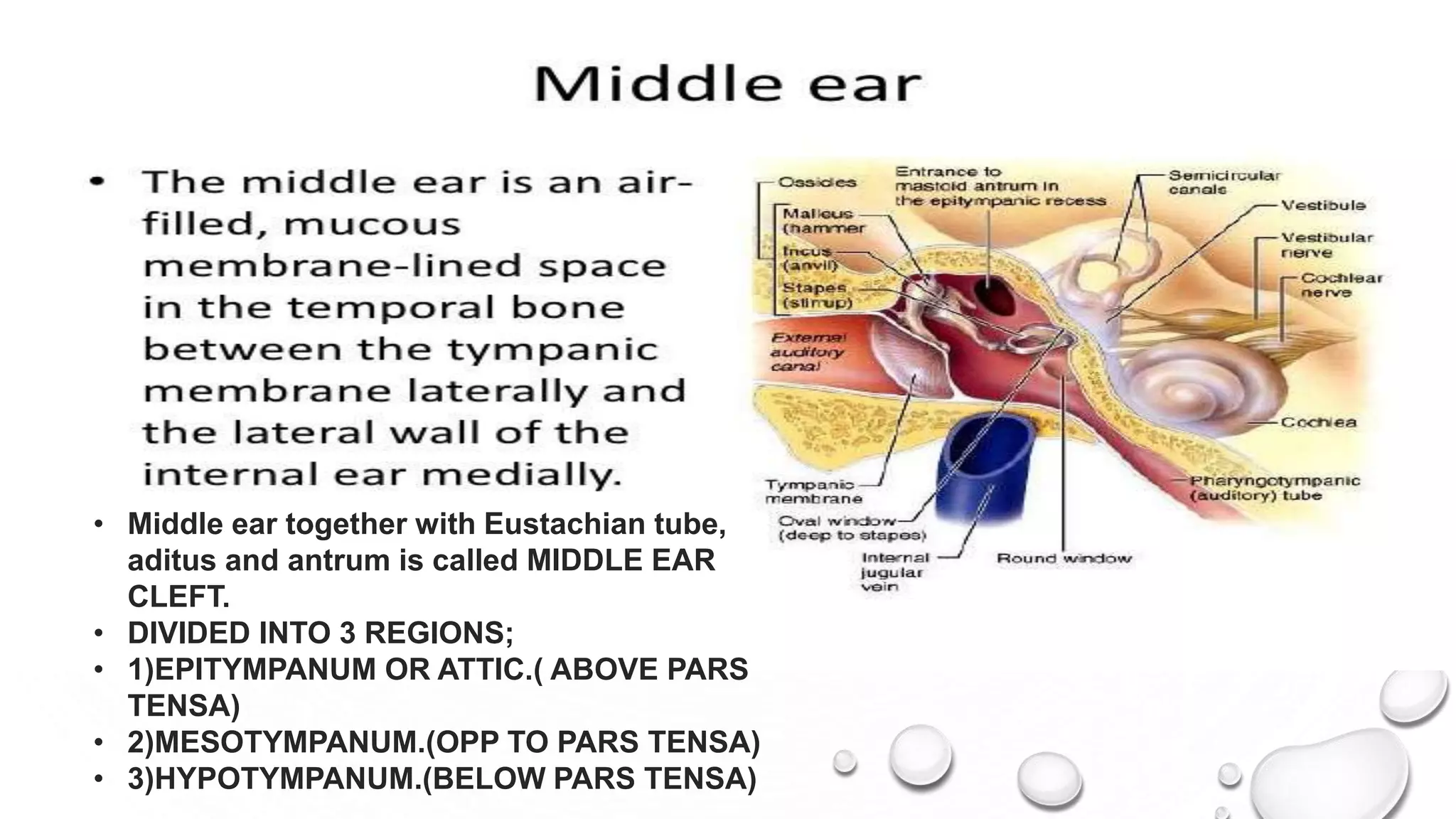ANATOMY AND PHYSIOLOGY OF EAR, NOSE, THROAT and NEWER INVESTIGATION ...