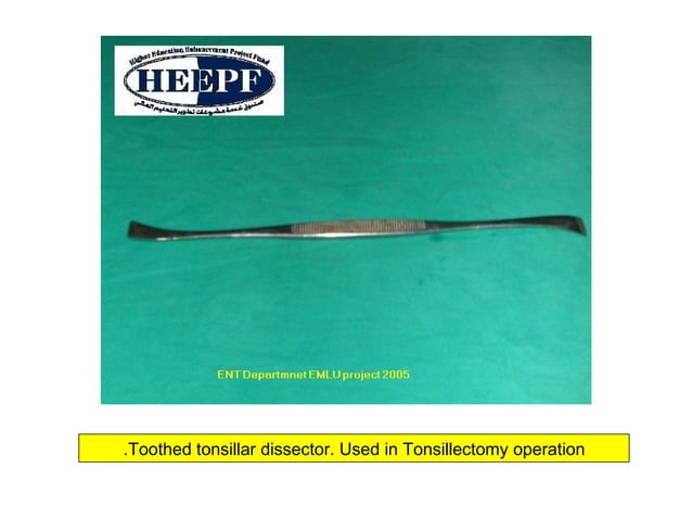 Ent instruments | PPT