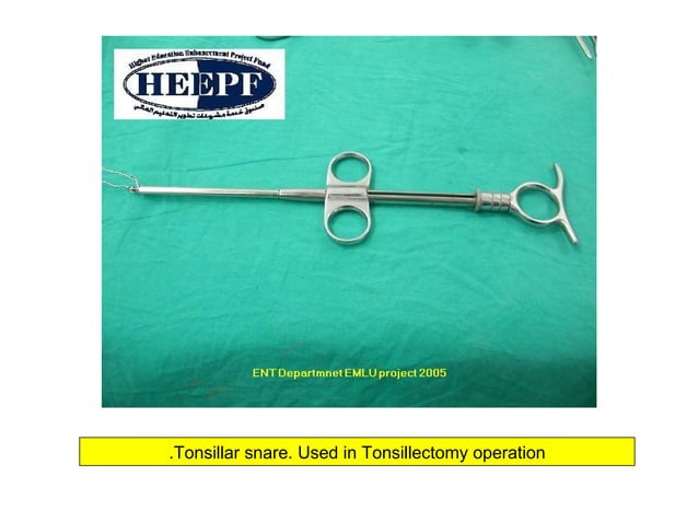 Ent instruments | PPT