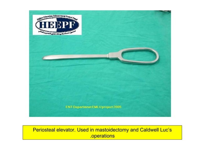 Ent instruments | PPT