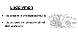 Anatomy of Inner Ear | PPTX