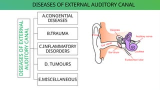 Diseases of External Ear (ENT department) | PPTX