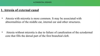 Diseases of External Ear (ENT department) | PPTX