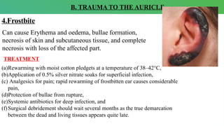 Diseases of External Ear (ENT department) | PPTX