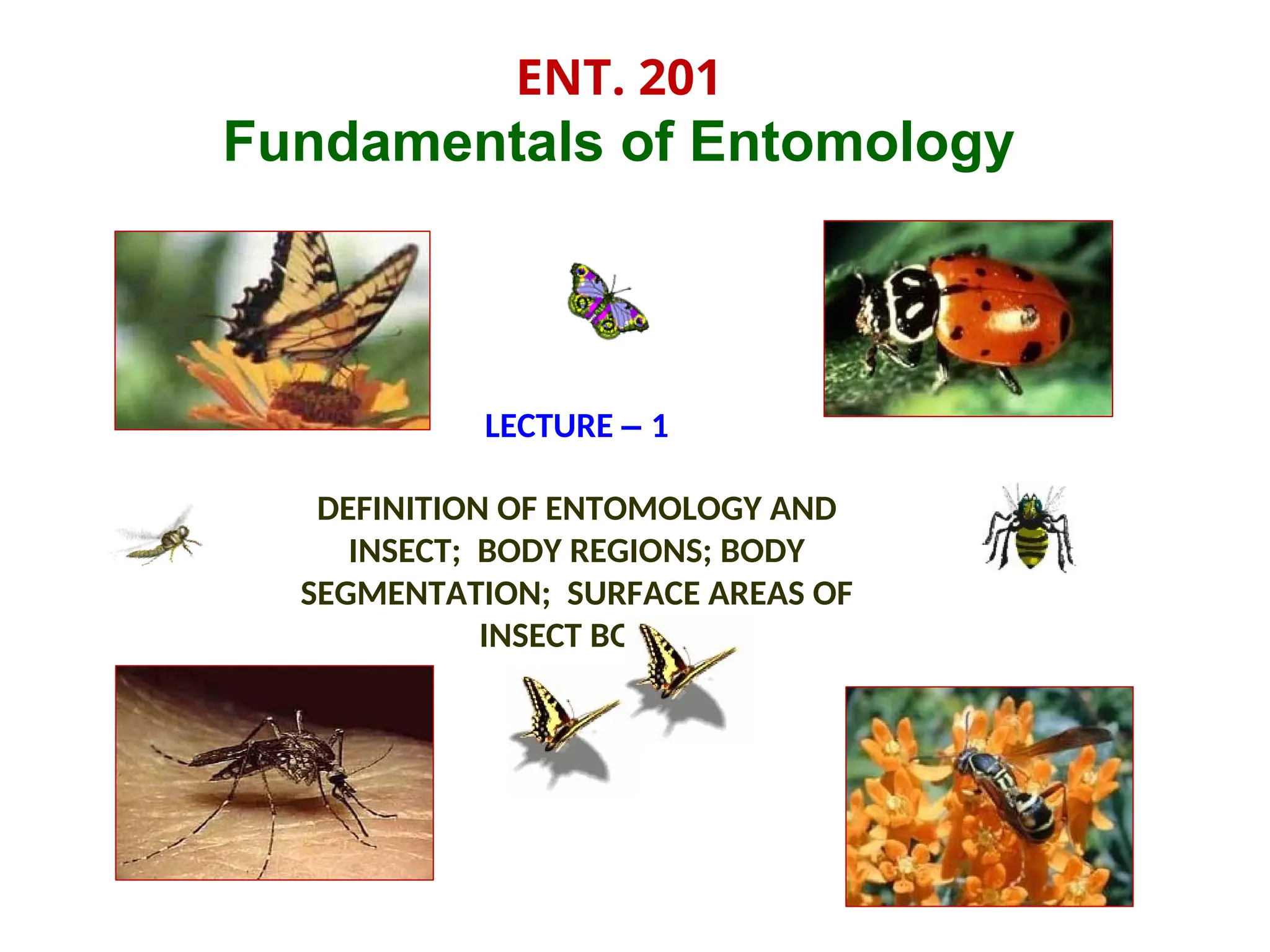 Ent 201 1st lecture.p agricultural pests | PPT