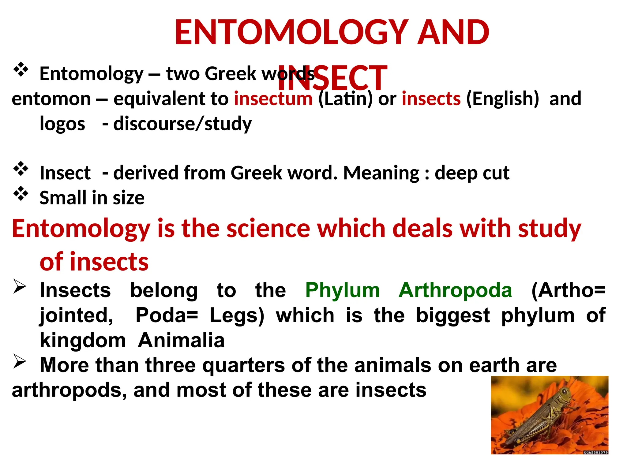 Ent 201 1st lecture.p agricultural pests | PPT