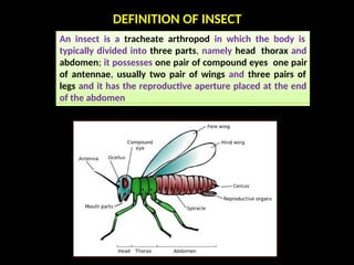 Ent 201 1st lecture.p agricultural pests | PPT | Biological Sciences ...