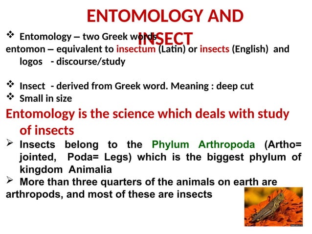 Ent 201 1st lecture.p agricultural pests | PPT