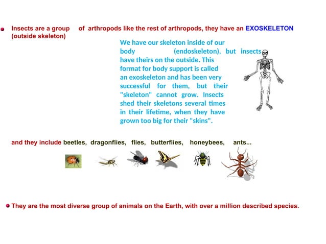 Ent 201 1st lecture.p agricultural pests | PPT