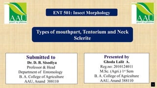 ENT 501 Ghoda Lalit (2010124011). entomology pptx | PPTX