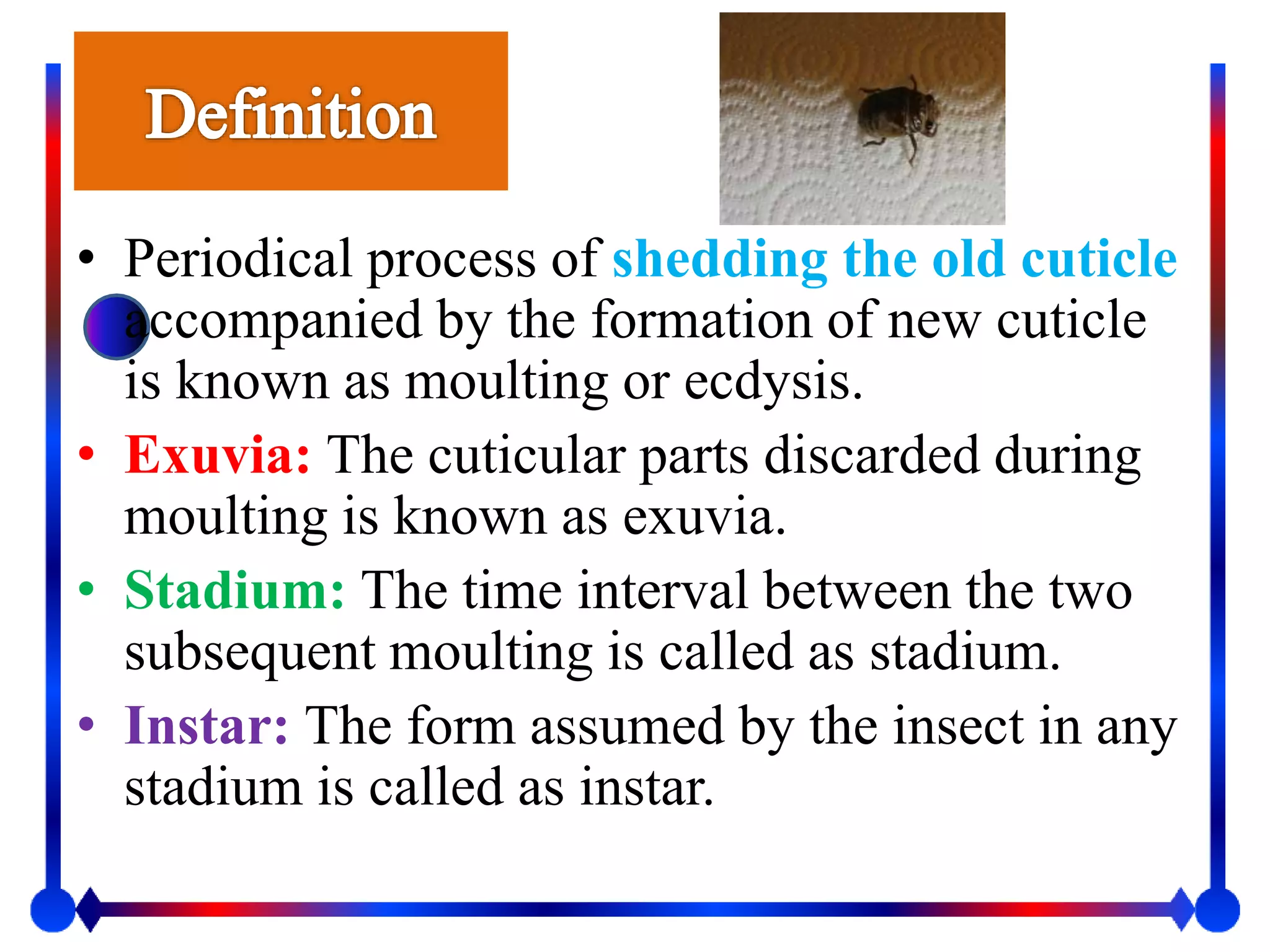 Physiology of Integuments and moulting in insects | PPTX