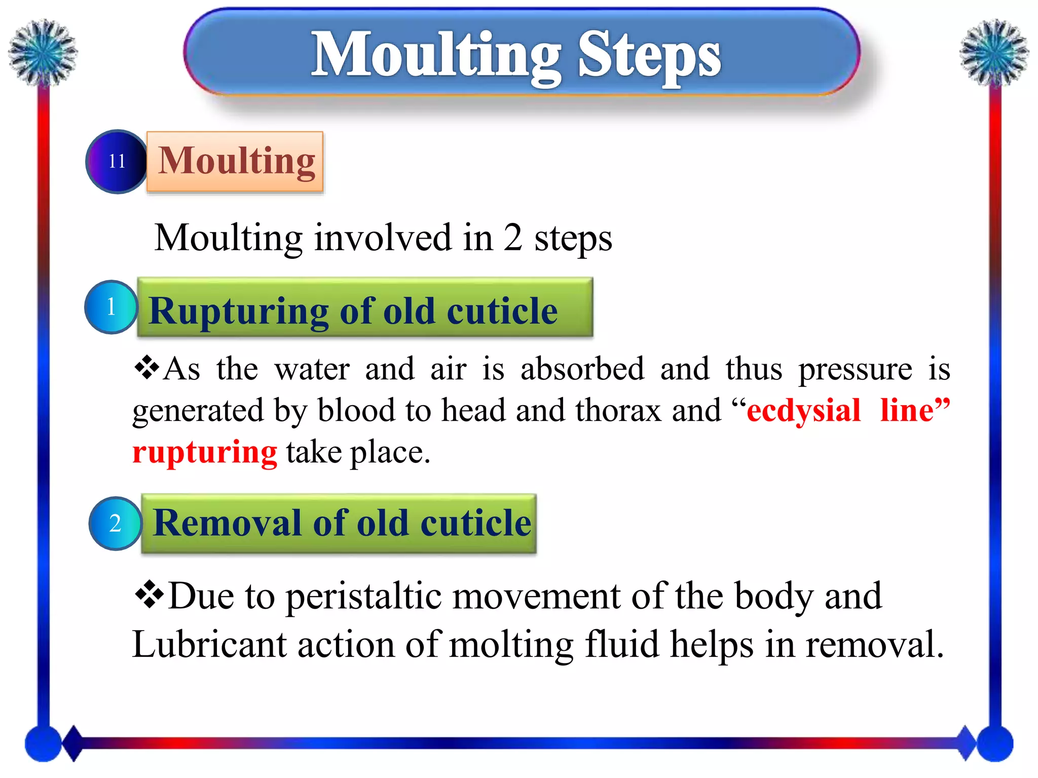 Physiology of Integuments and moulting in insects | PPTX