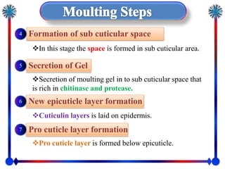 Physiology of Integuments and moulting in insects | PPTX