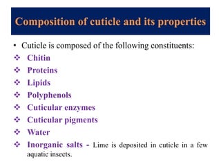 Physiology of Integuments and moulting in insects | PPTX