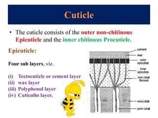 Physiology of Integuments and moulting in insects | PPT