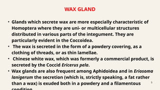 Exocrine Glands of Insects : Types and Roles.pptx