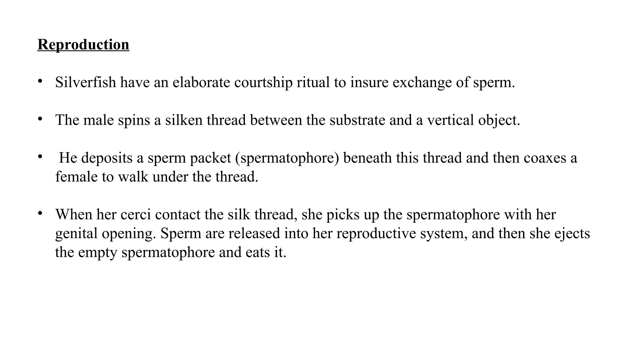 ENT 503-Thysanura,collembola,protura.pptx