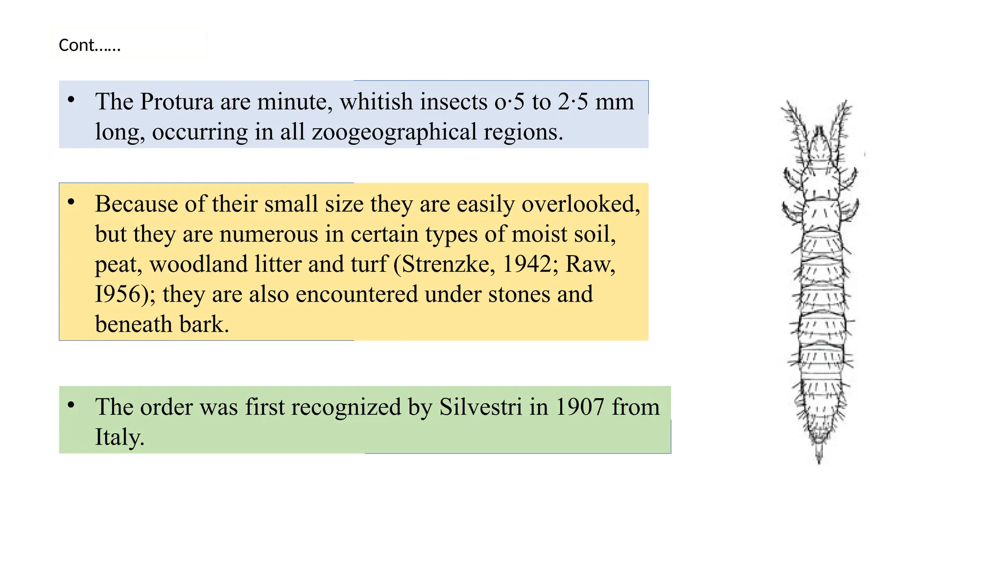 ENT 503-Thysanura,collembola,protura.pptx