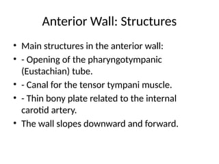 Anterior and posterior wall of middle ear | PPTX