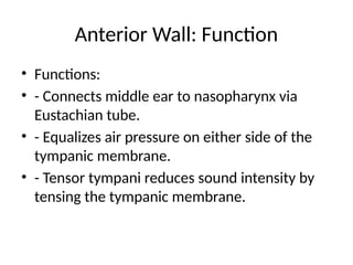 Anterior and posterior wall of middle ear | PPTX