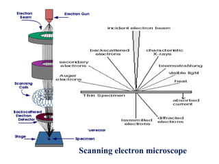 Electron Microscope | PPTX