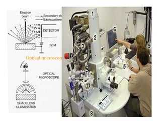 Electron Microscope | PPTX