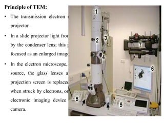 Electron Microscope | PPTX