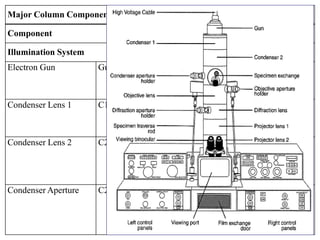 Electron Microscope | PPTX