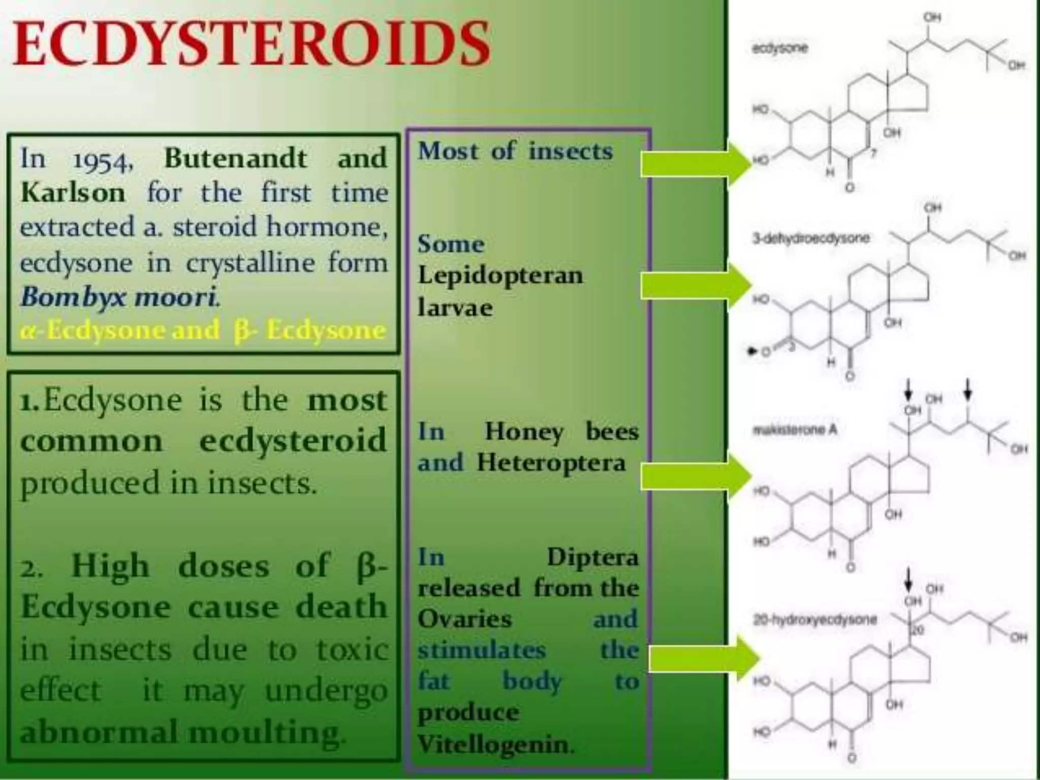 Role of Insect hormones | PPTX