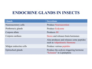 Role of Insect hormones | PPTX