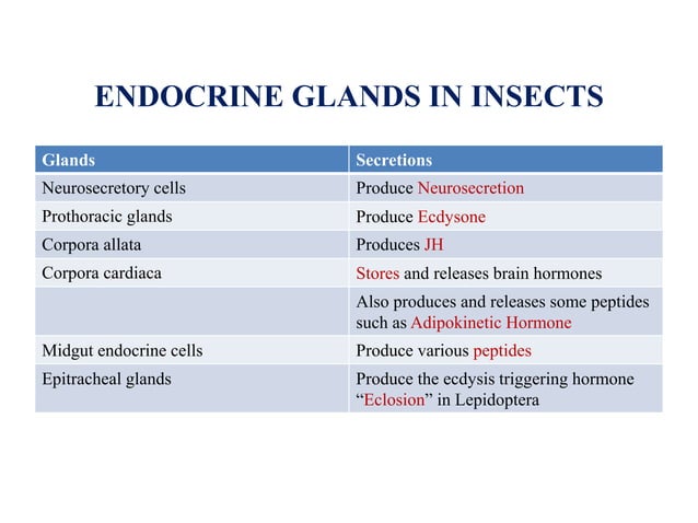 Role of Insect hormones | PPTX | Endocrine and Metabolic Diseases ...
