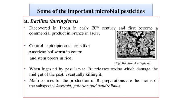 ENT 605 Microbial pesticide.pptx entomopathogenic insects | PPT