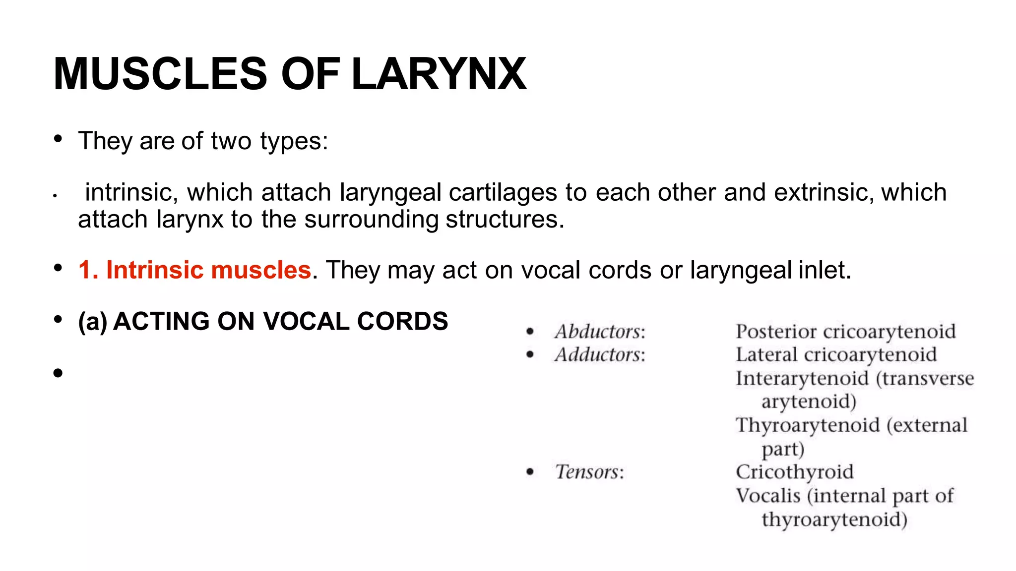 Anatomy of larynx | PPTX