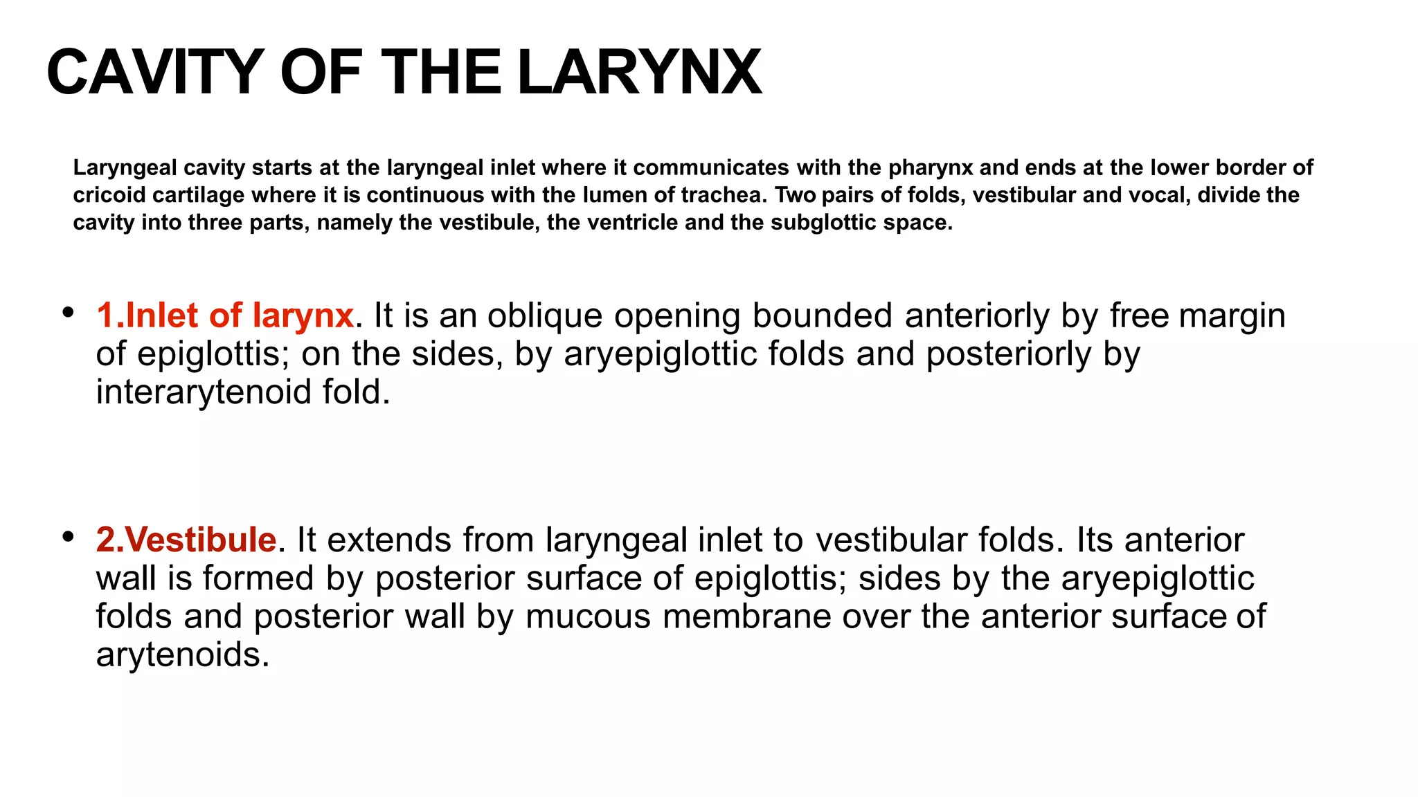 Anatomy of larynx | PPTX