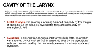 Anatomy of larynx | PPTX